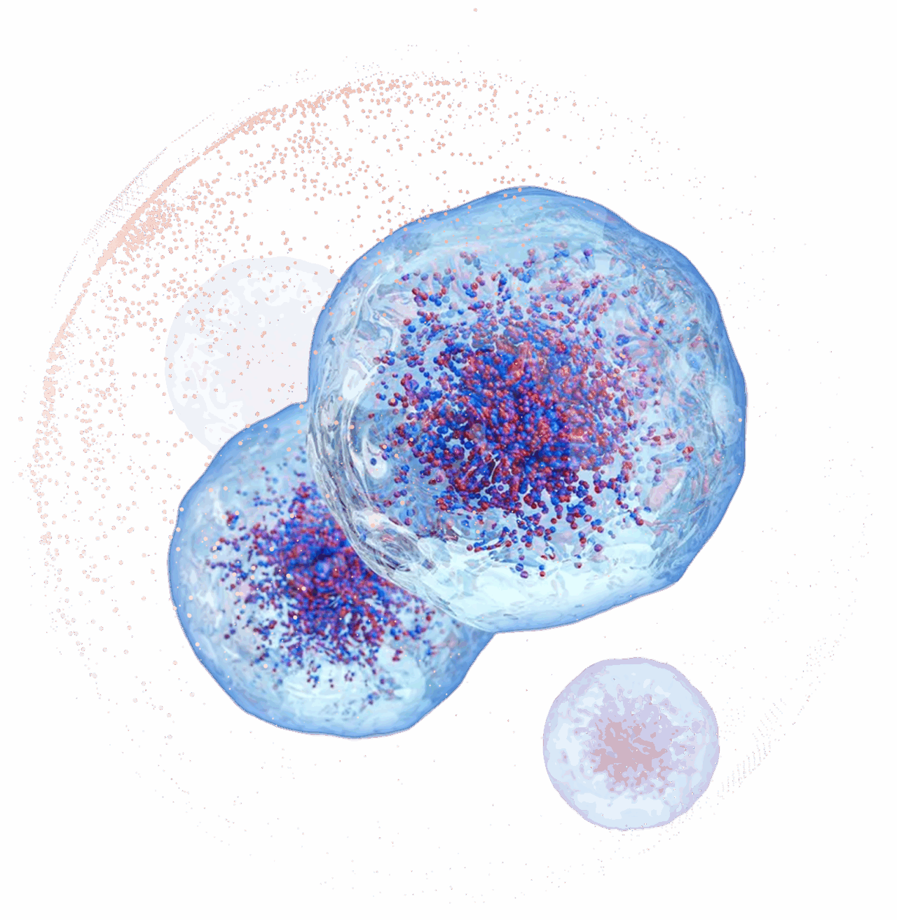 Stratus Therapeutics | On-Demand Blood Stem Cell Therapies