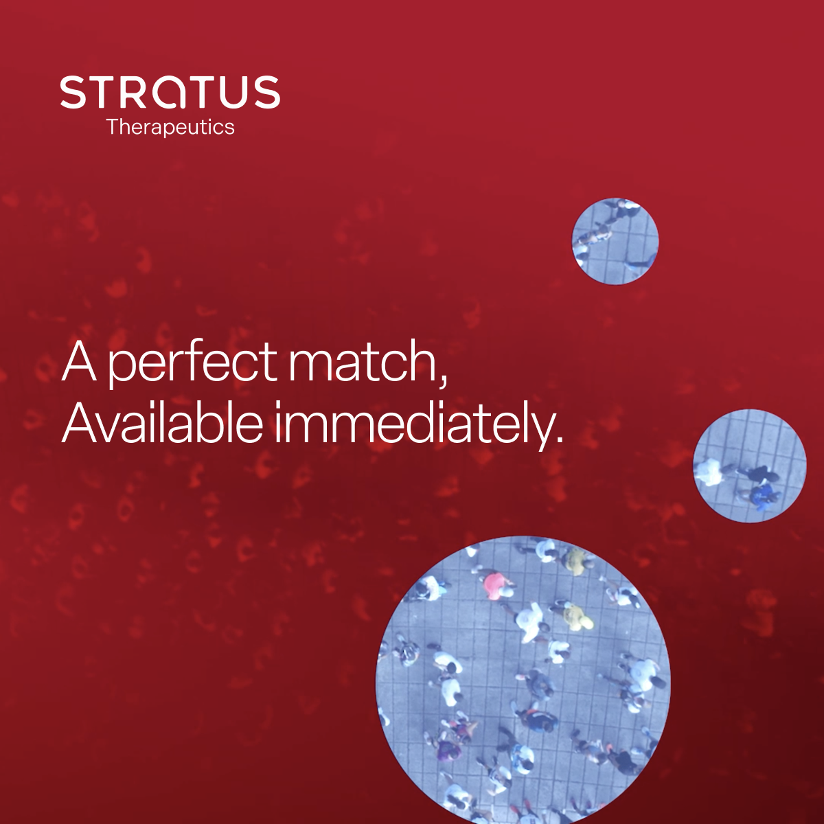 Stratus Therapeutics | On-Demand Blood Stem Cell Therapies